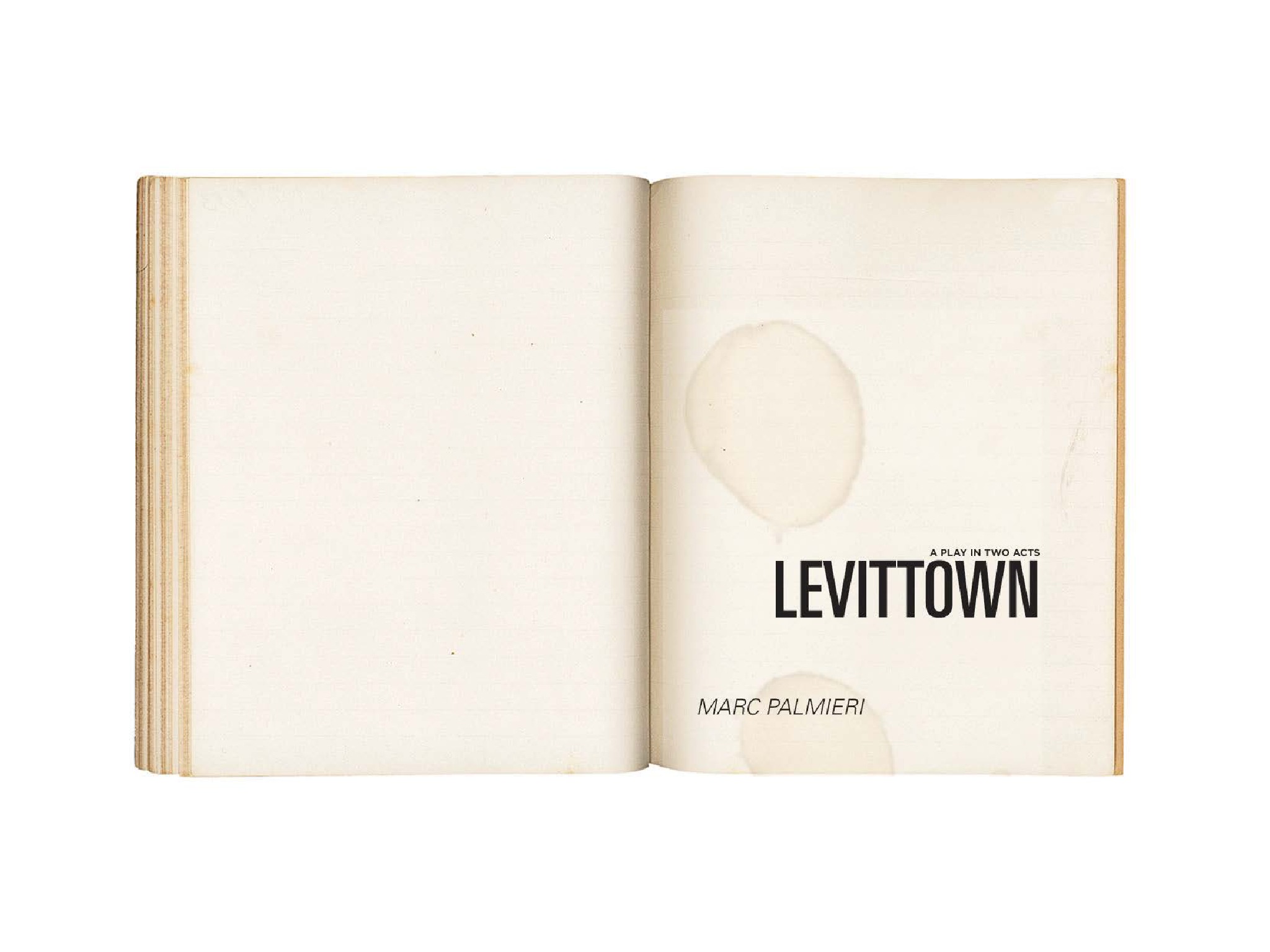 Levittown by Nicolette Cantillo – SVA Design