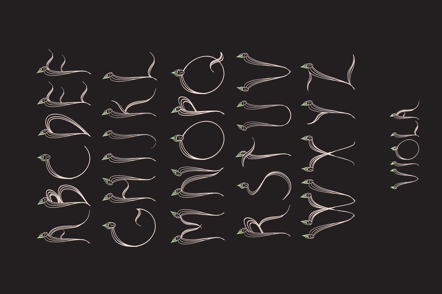 Viola Typeface by Jacqueline Barba – SVA Design
