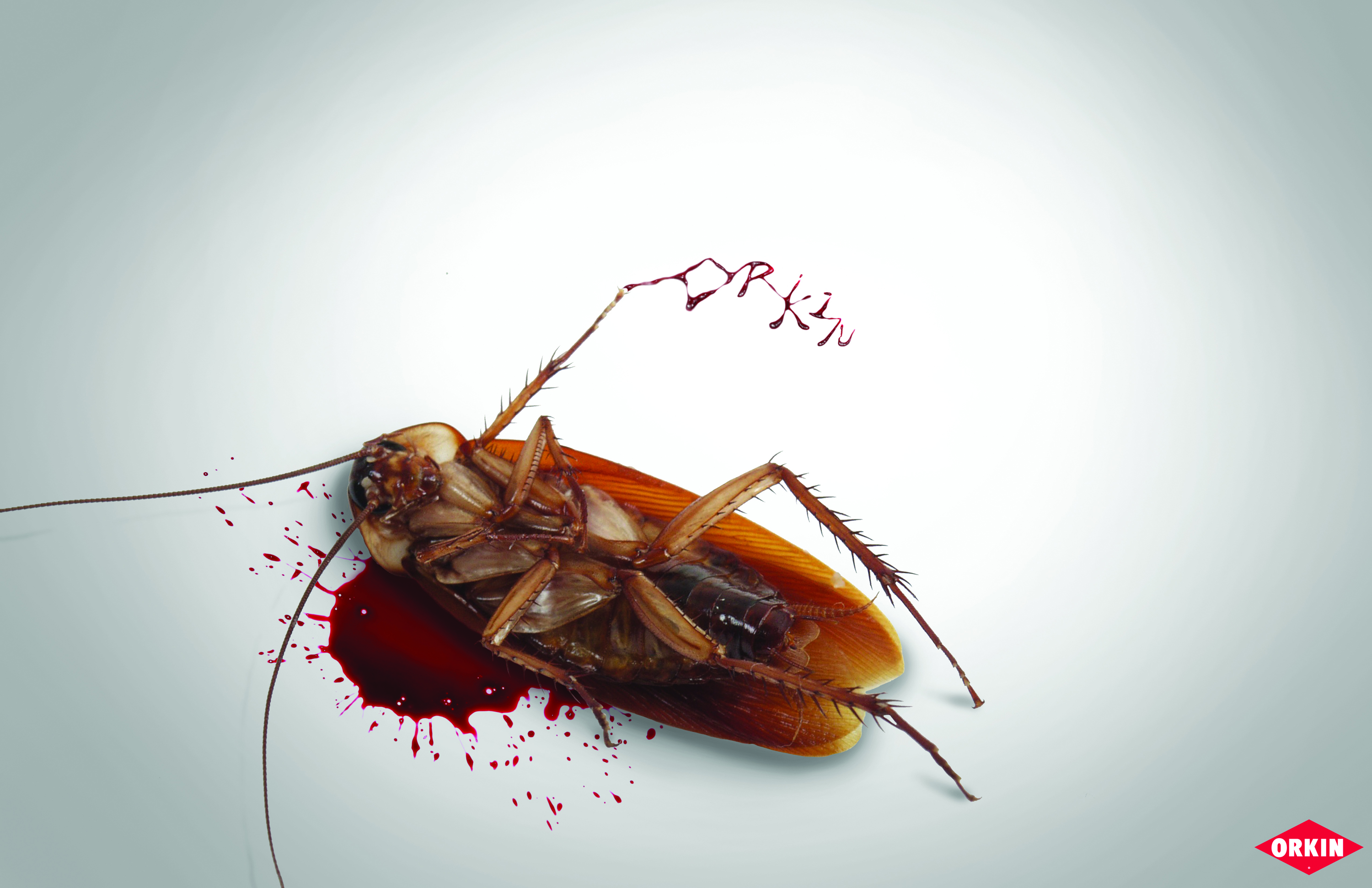 orkin by hangYoonseoKimHanjun – SVA Design