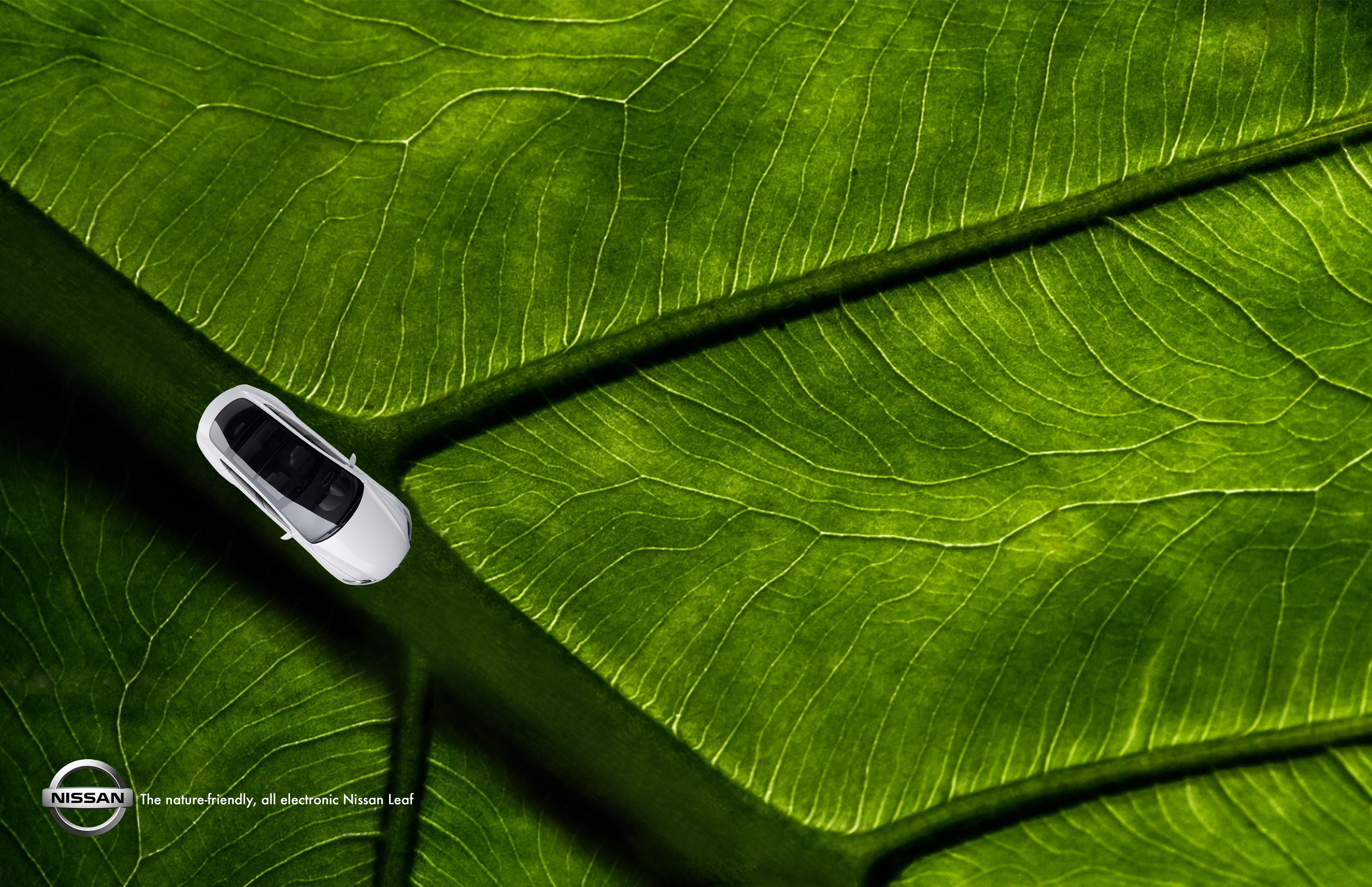 The nature friendly, all electronic Nissan leaf by cho hyeran – SVA Design