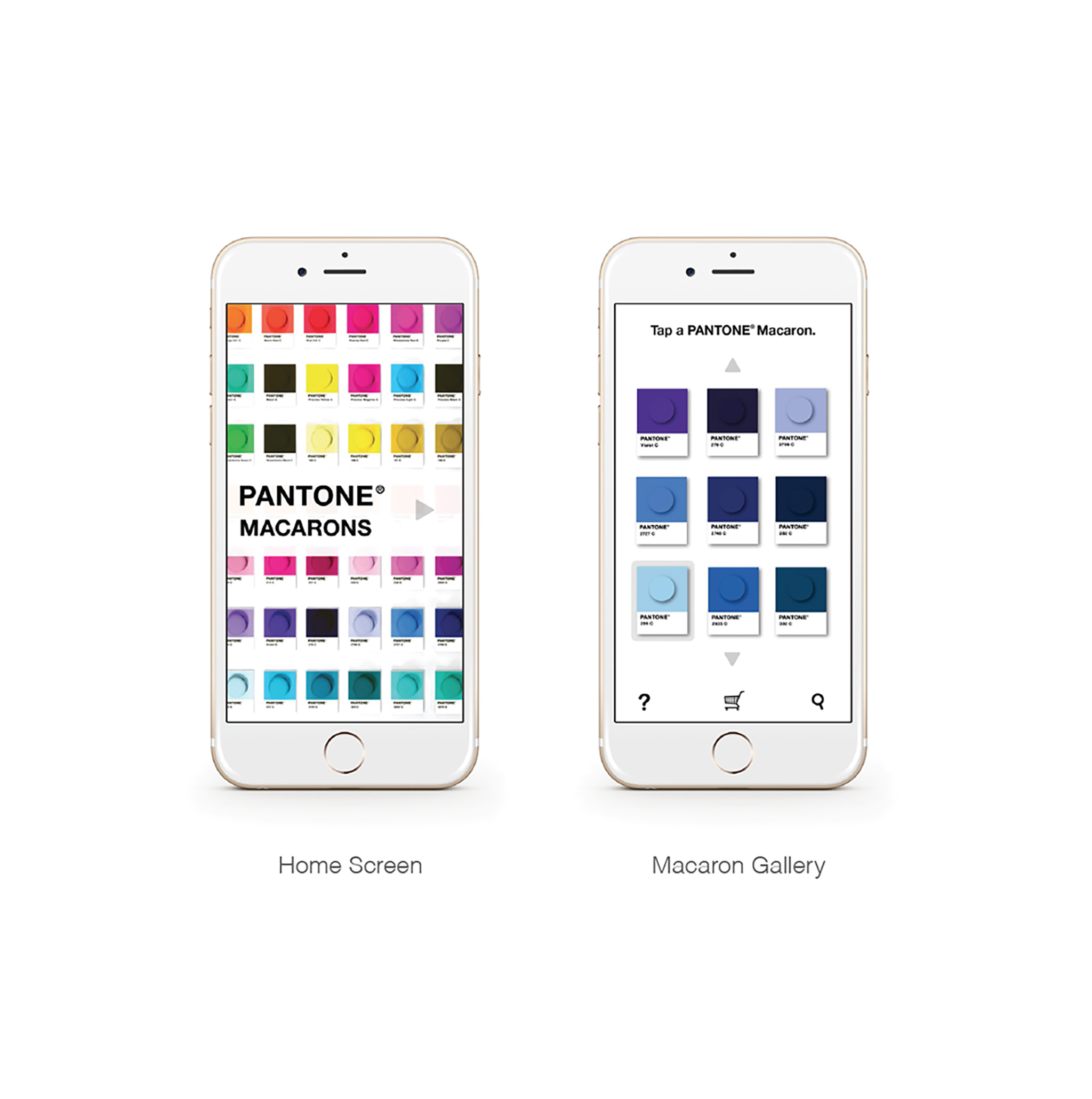 PANTONE Macarons by Ki Yan Ip – SVA Design