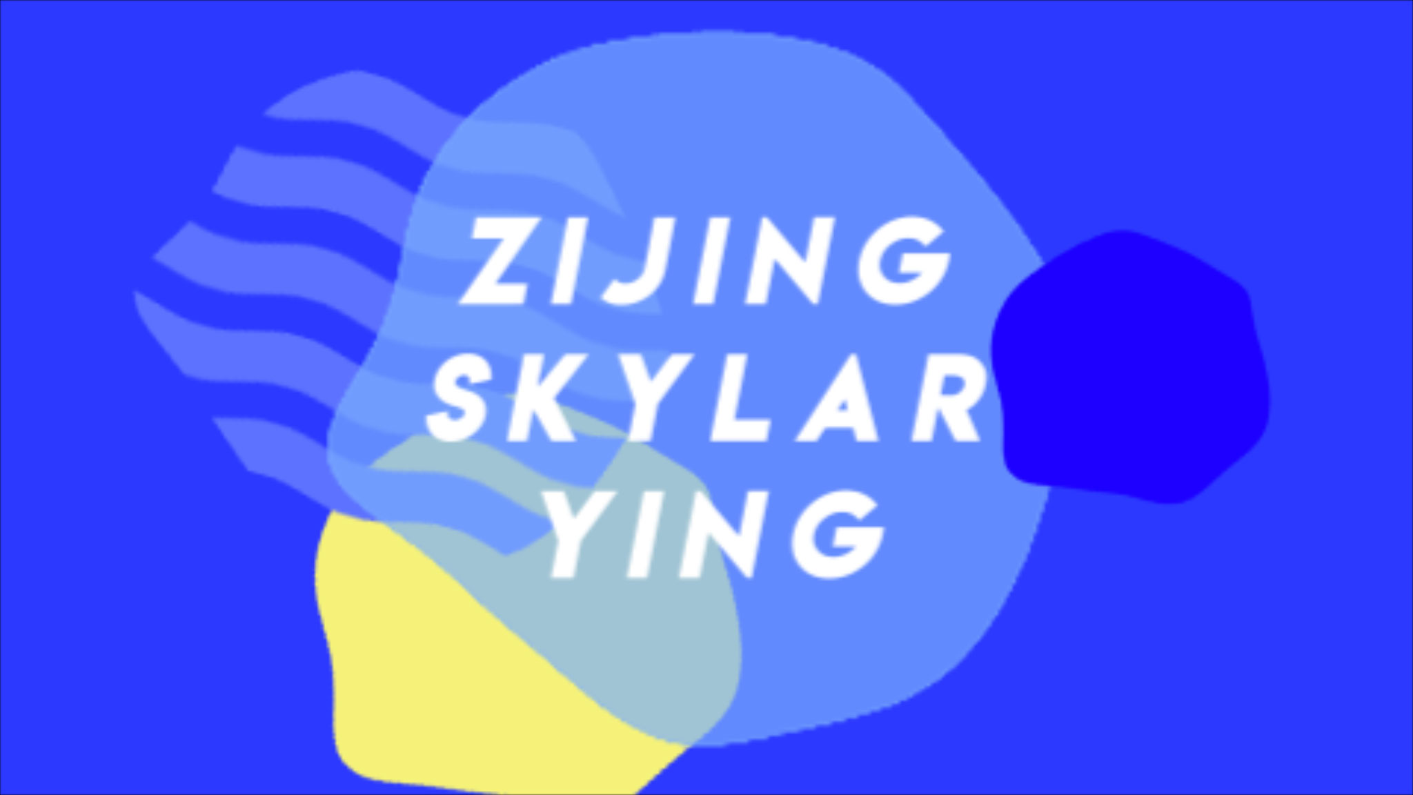 Reel 2020 by Zijing Ying – SVA Design