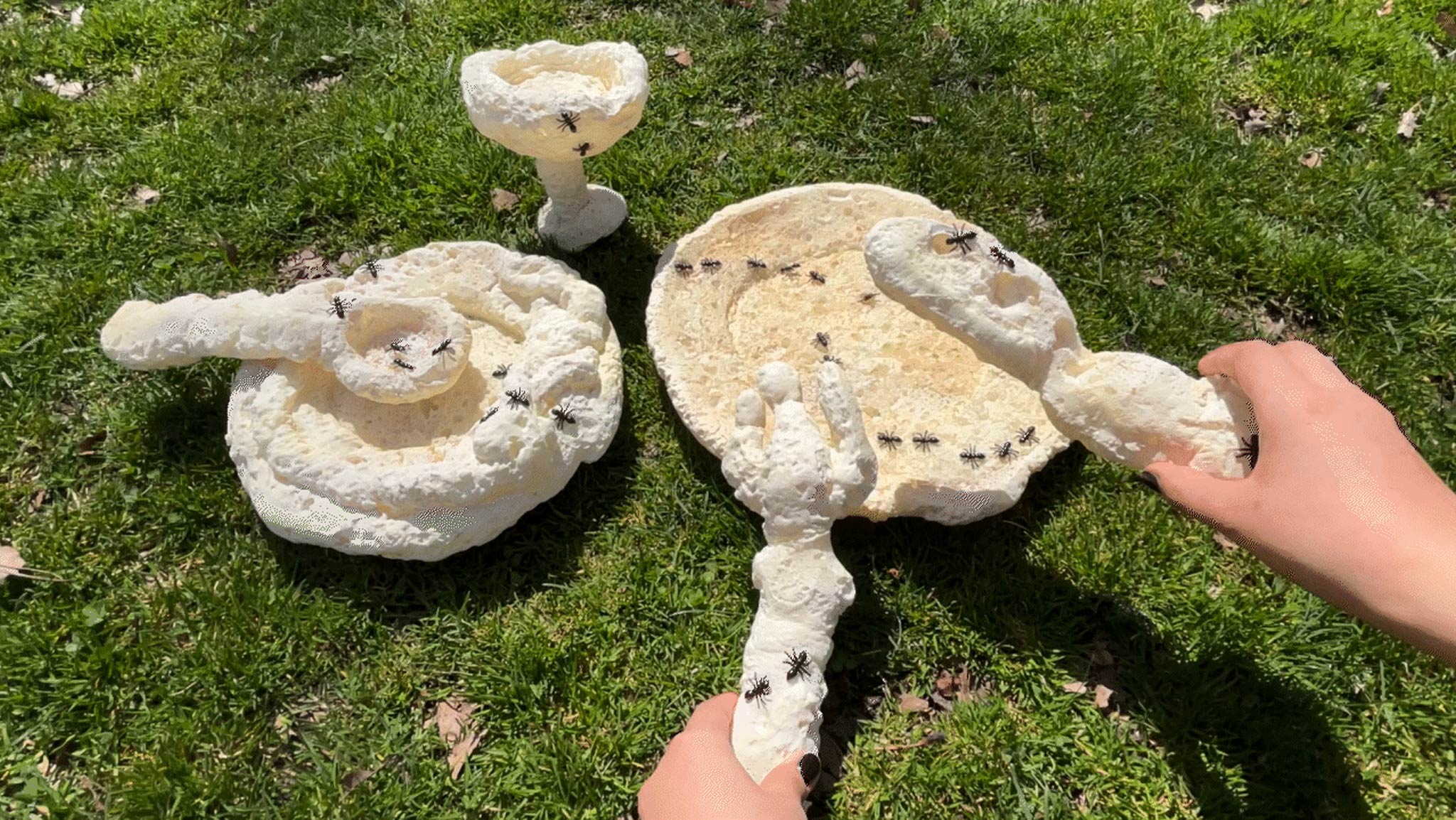 An Ant Hill Table Set by Nayoon Choi – SVA Design