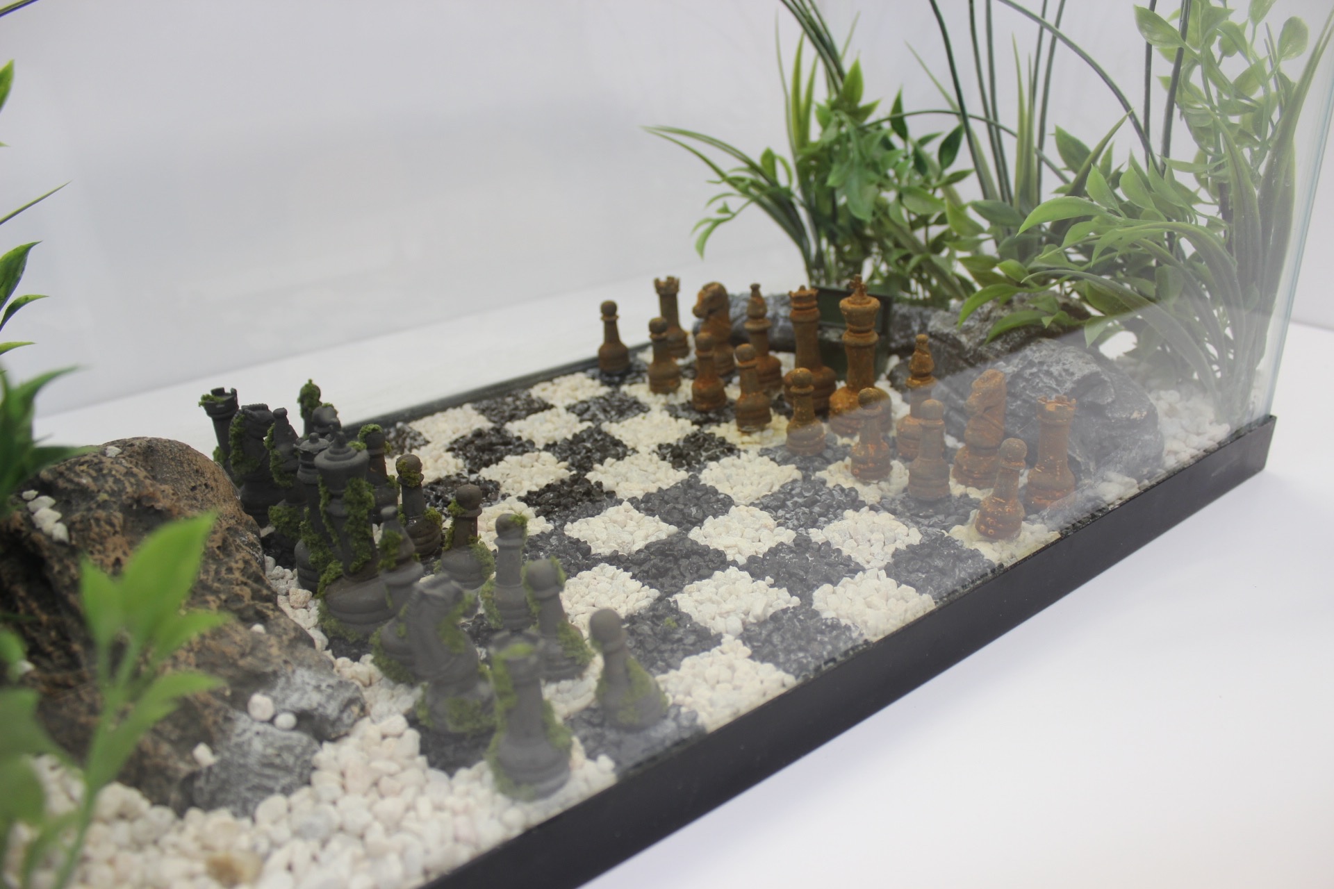 CHESS TANK by Julian Fama – SVA Design