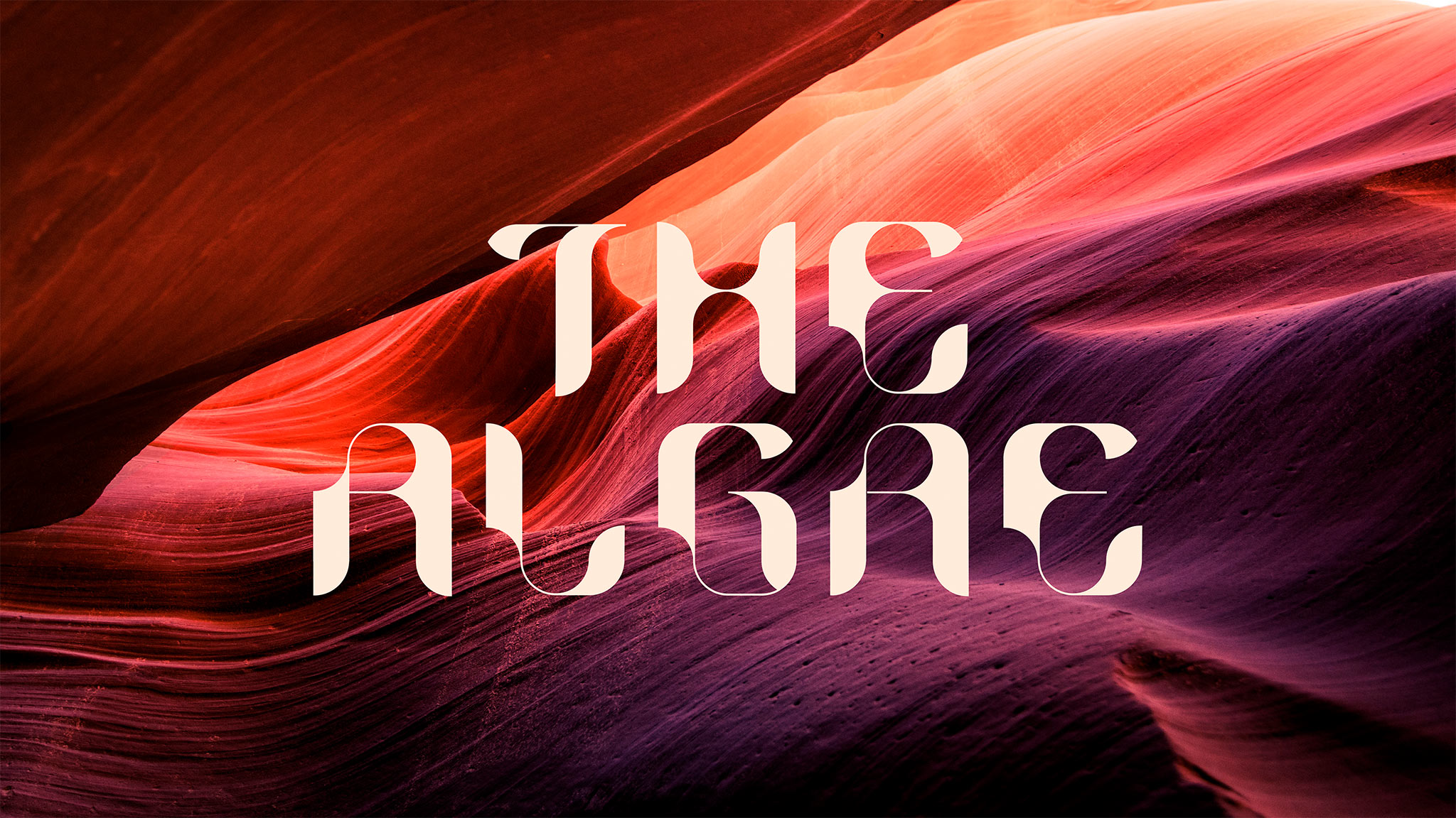 The Algae by Yating Liu – SVA Design