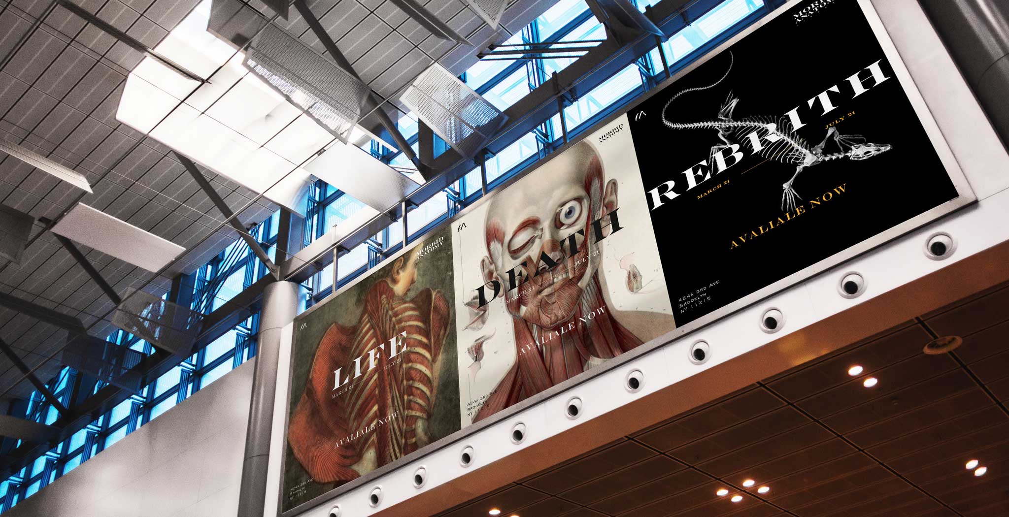 MORBID ANATOMY LIBRARY by Yiming Cai – SVA Design