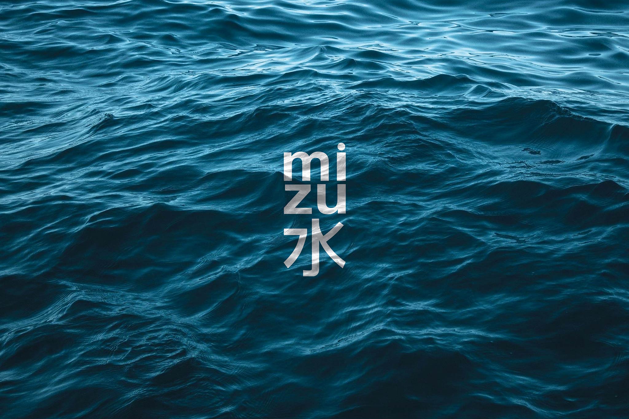 Mizu Fish Branding by Joanna Yoon – SVA Design