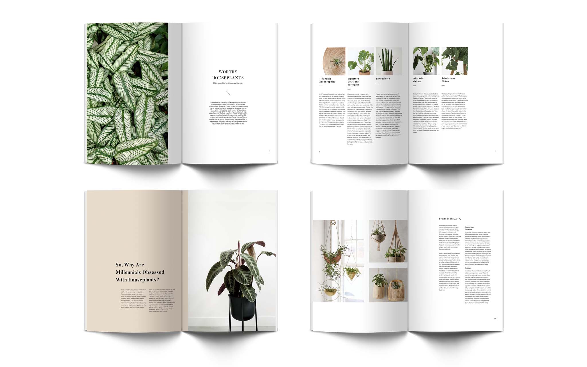 Indoor Green Magazine by Tung Chou – SVA Design