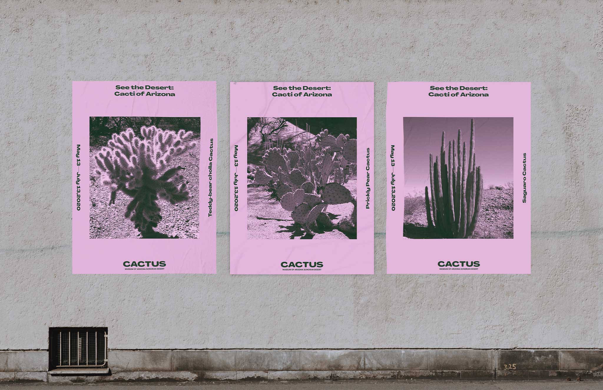 Cactus Museum-Brand Identity by Hanna Park – SVA Design