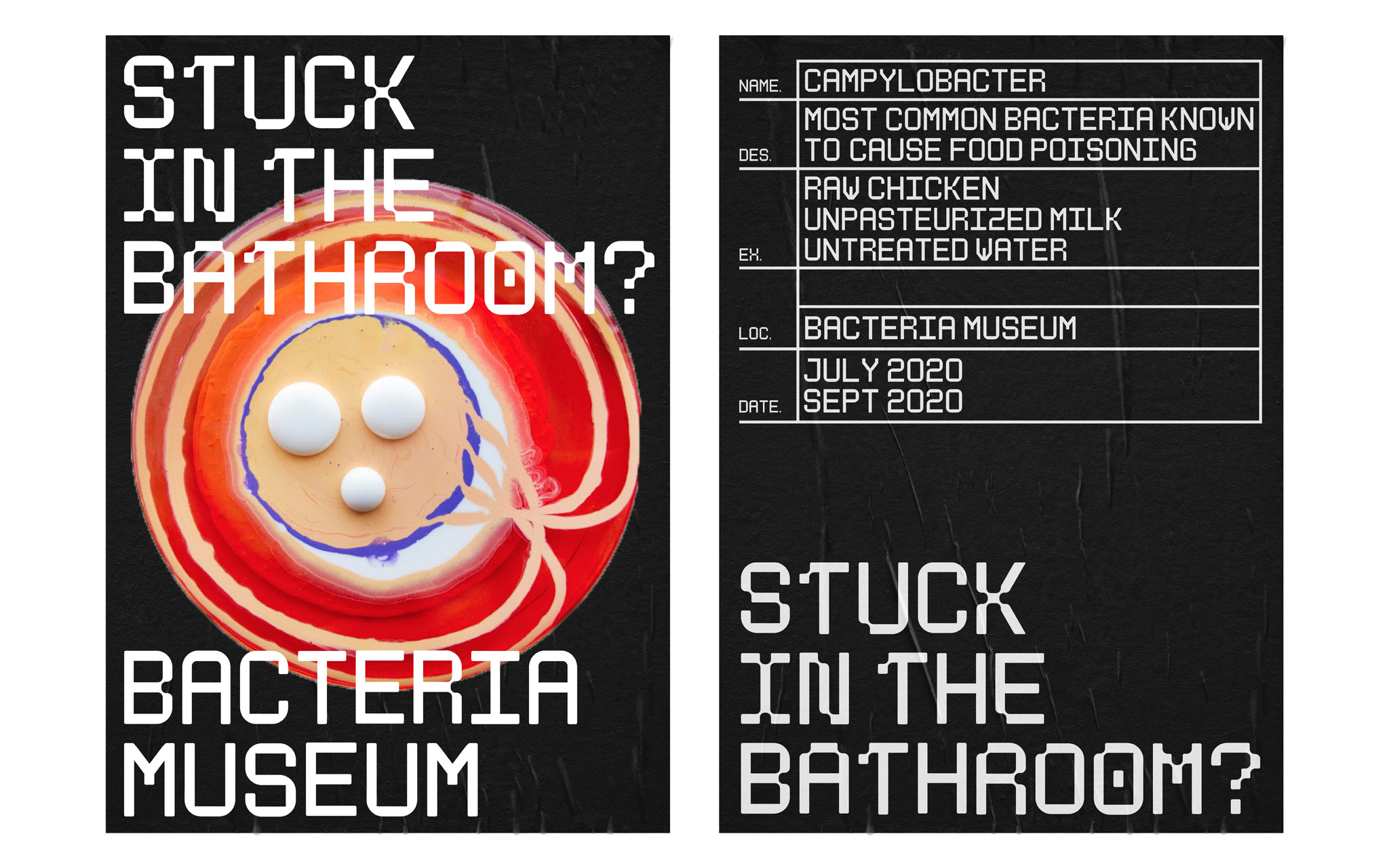 Bacteria Museum by Min Choe – SVA Design