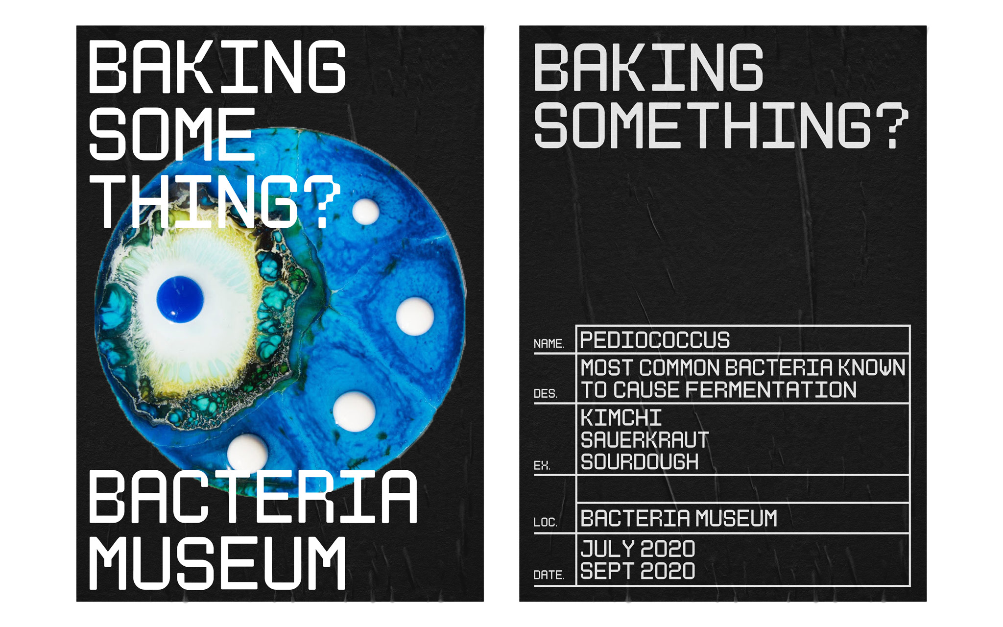 Bacteria Museum by Min Choe – SVA Design