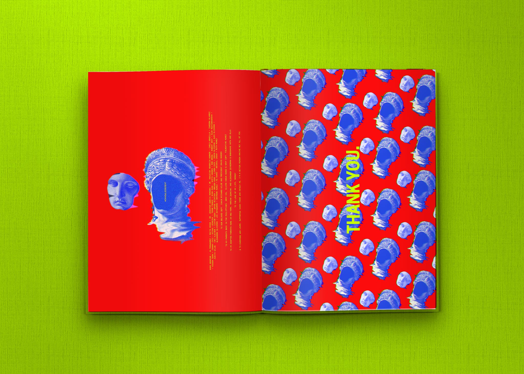 SENIOR PORTFOLIO INSIDE PAGES by Anne Zeygerman – SVA Design