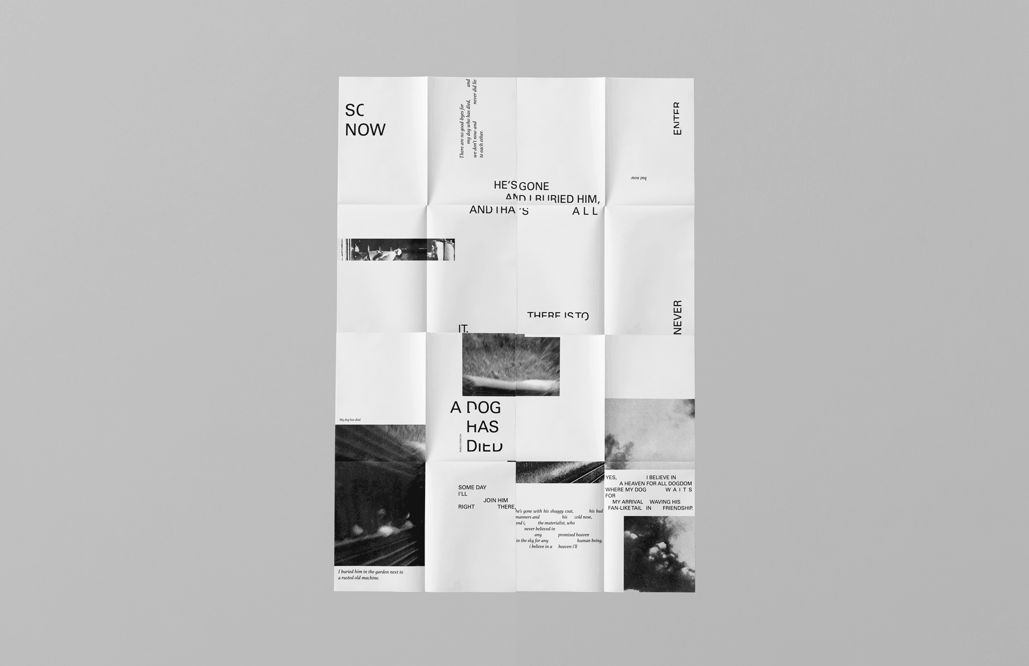 A Dog Has Died by Siqi Luo – SVA Design