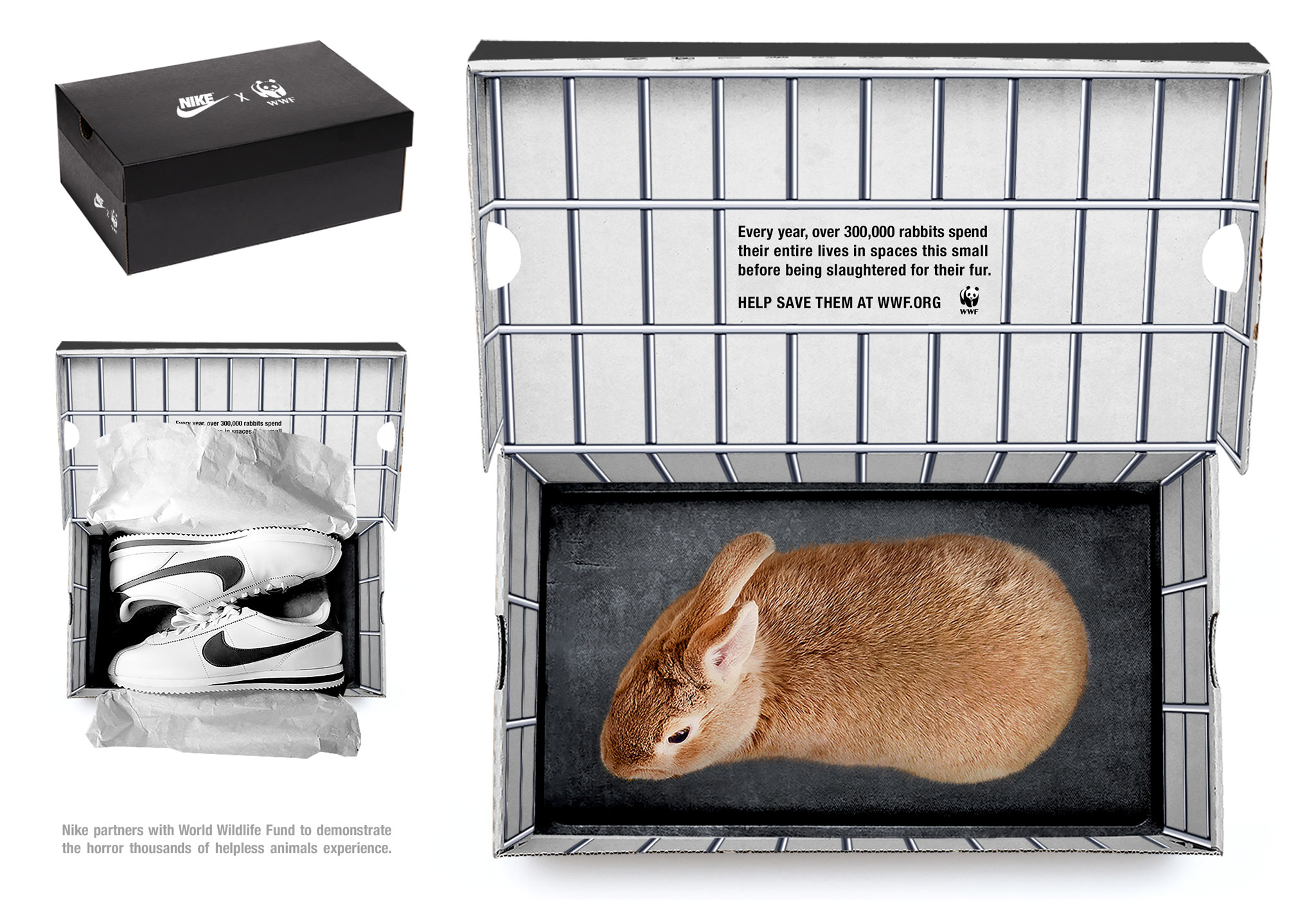 WWF Shoebox Cage by Jasmine Espejo – SVA Design