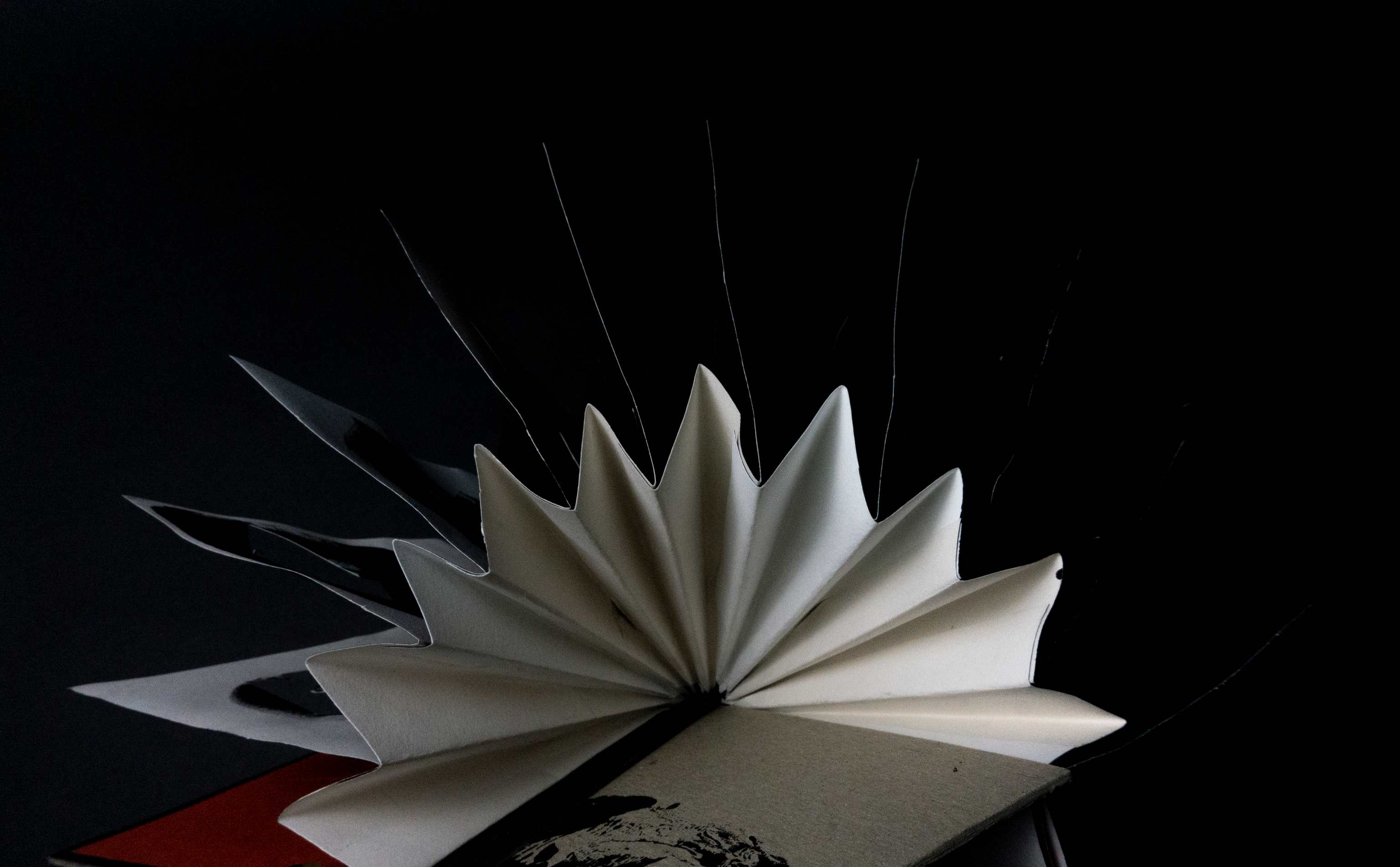 Book Art: Light and Shadow by Hongjie Chen – SVA Design