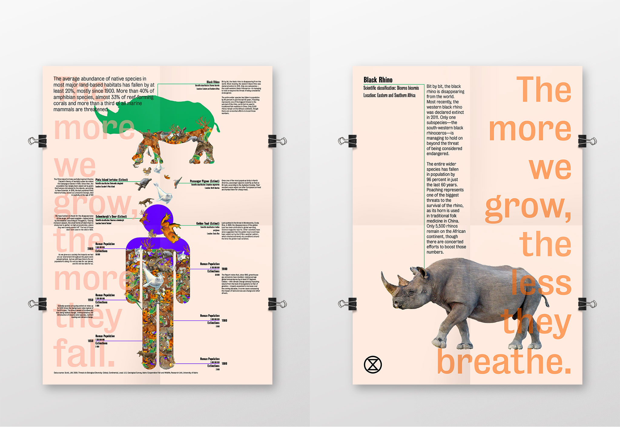 Extinction Infographic by Bruno Bergallo – SVA Design