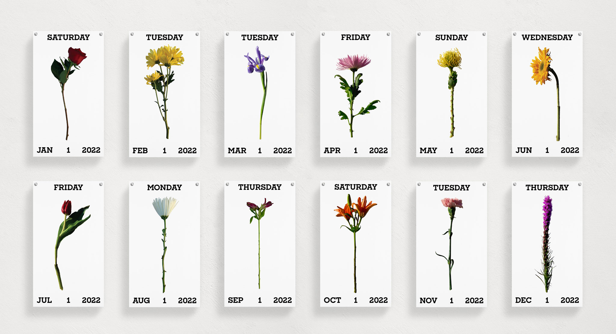 Ephemeral Flowers Daily Calendar by Dominique Marchini – SVA Design
