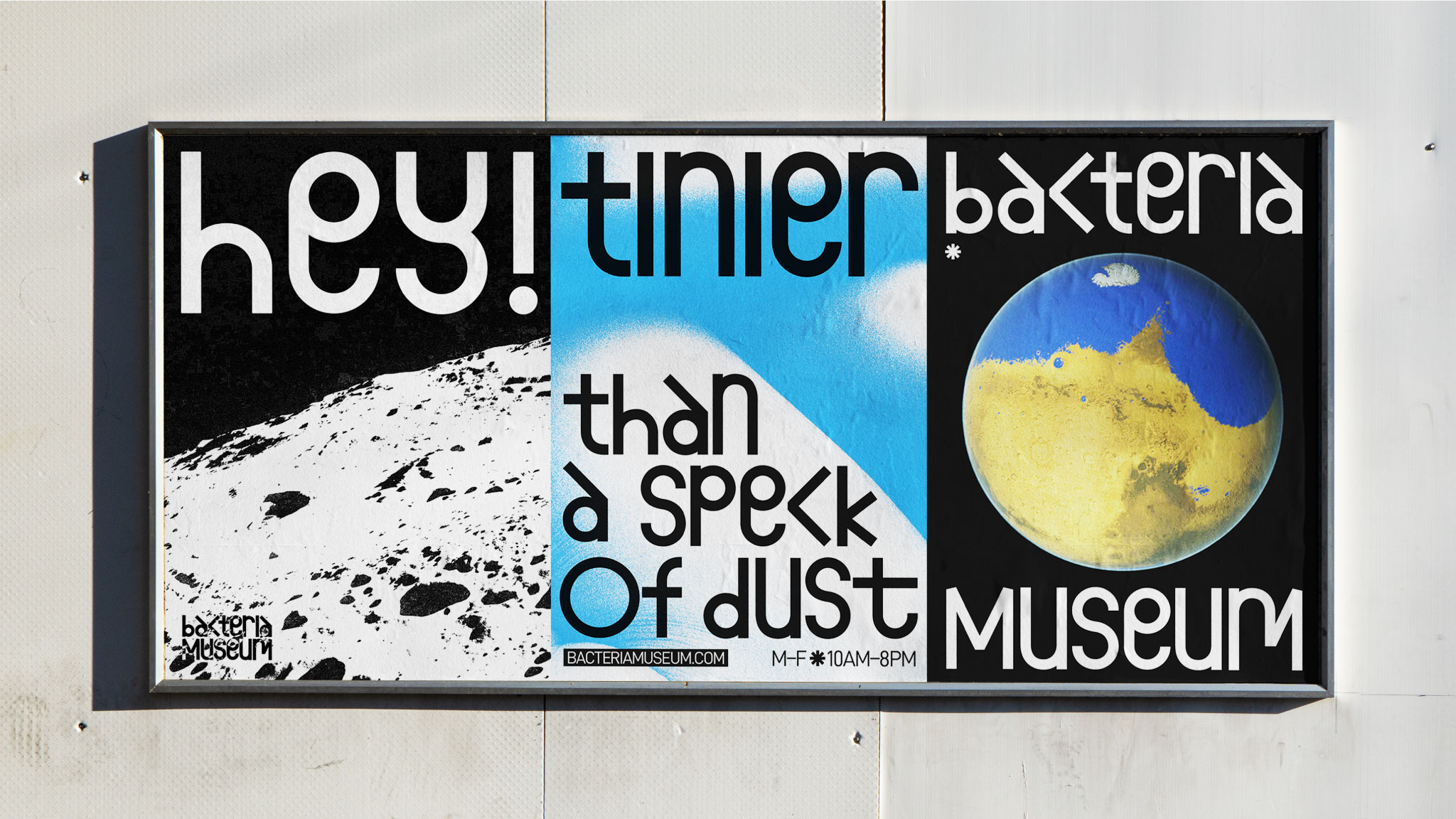 Bacteria Museum by Yeni Kim – SVA Design