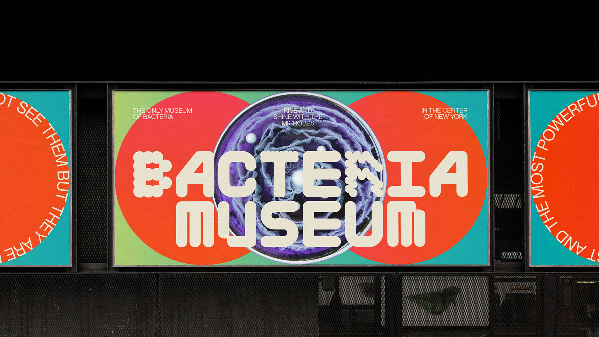 Bacteria Museum by Junghoon Oh – SVA Design