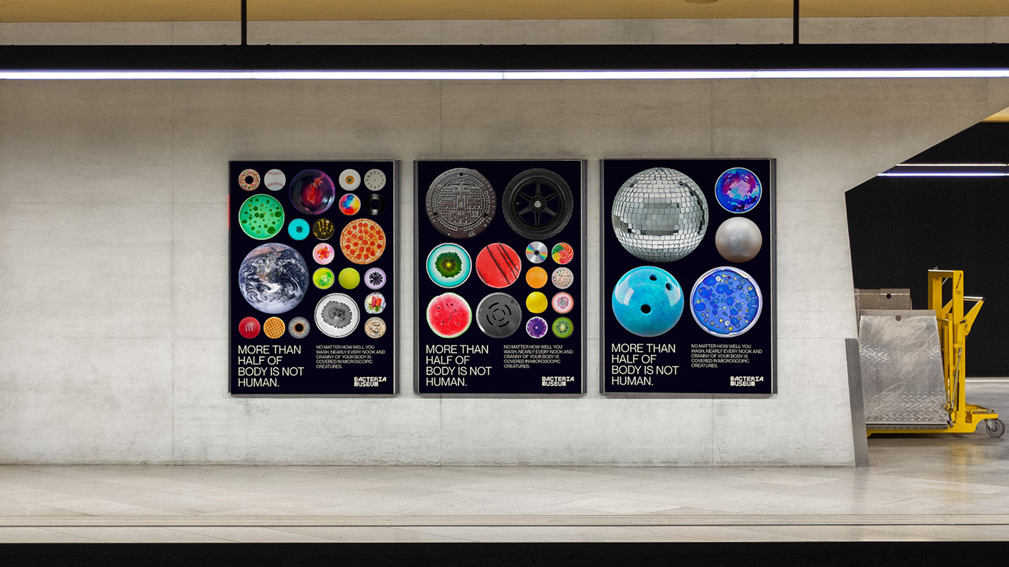 Bacteria Museum by Junghoon Oh – SVA Design