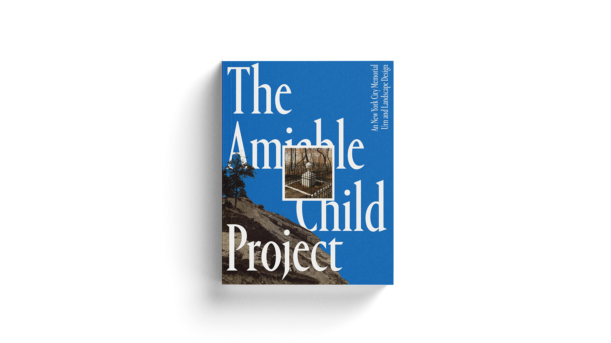The Amiable Child by Sarah Speidel – SVA Design