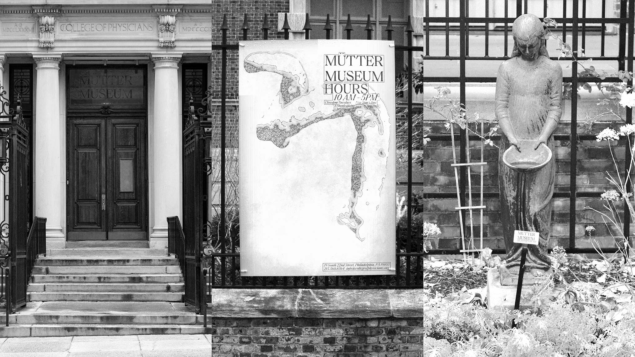 Mütter Museum by Stephen Hyungjun Kim – SVA Design