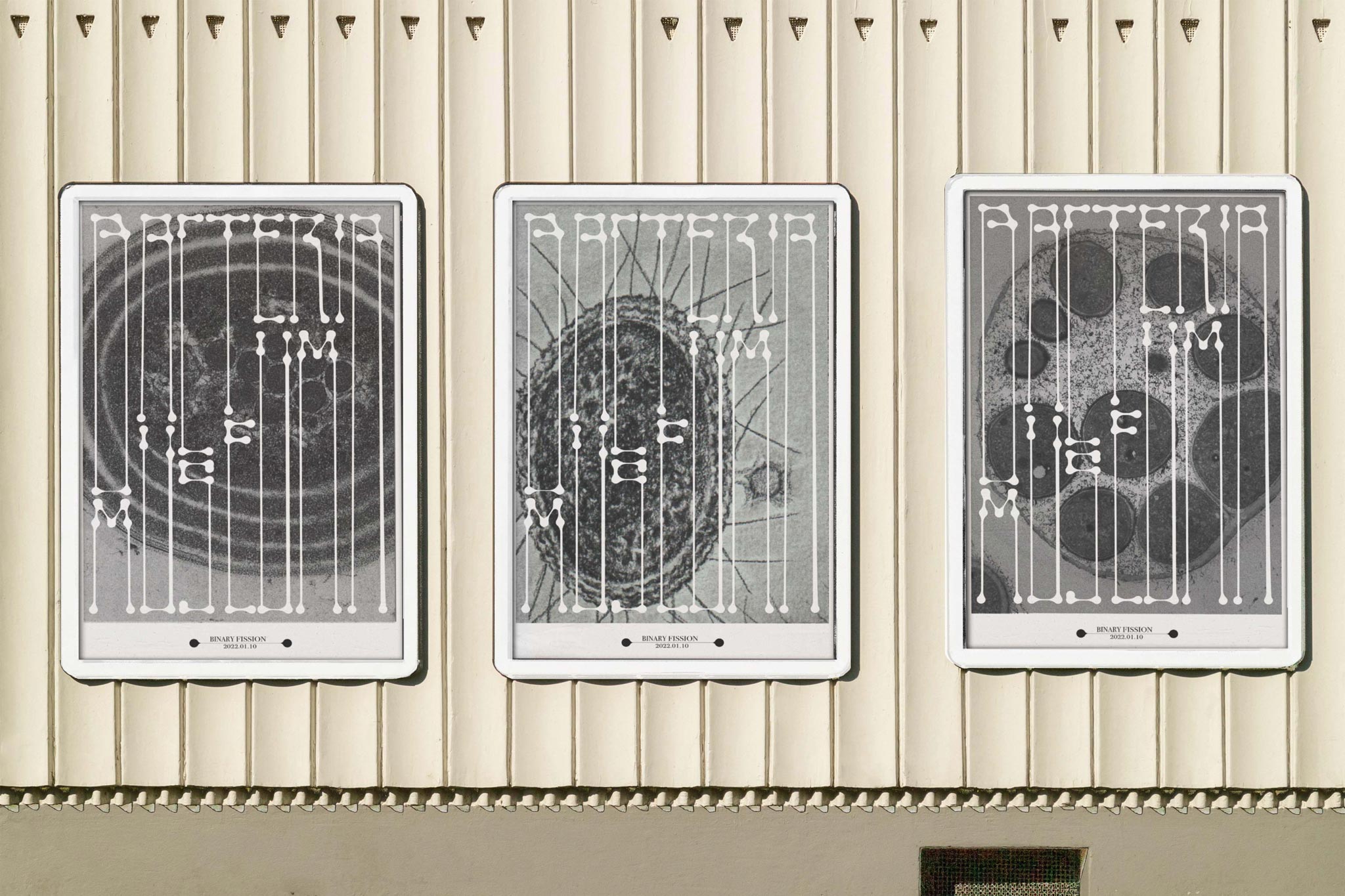 BACTERIA MUSEUM by Jiaqi Sun – SVA Design