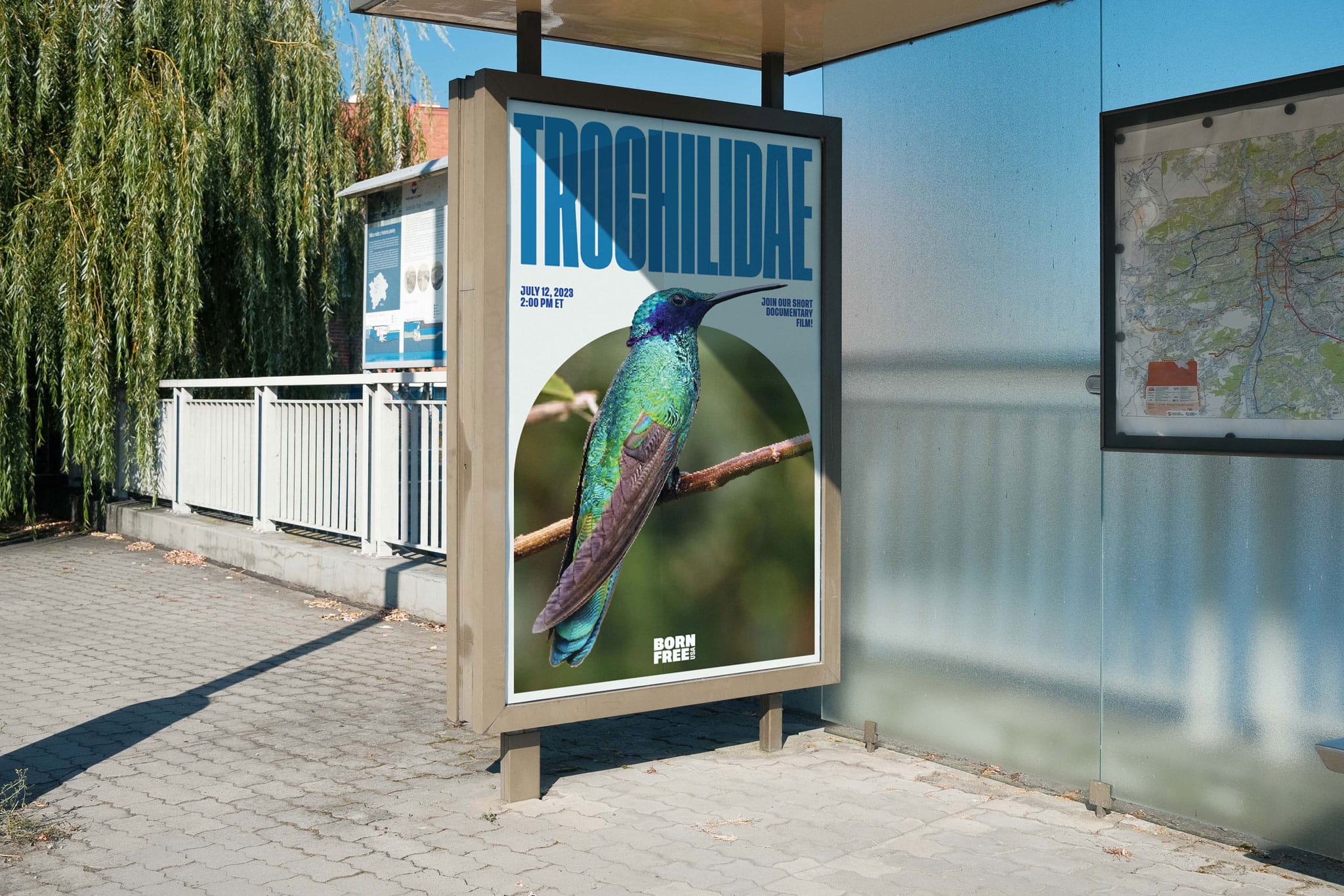 NPO Rebranding by Siyi Wu – SVA Design