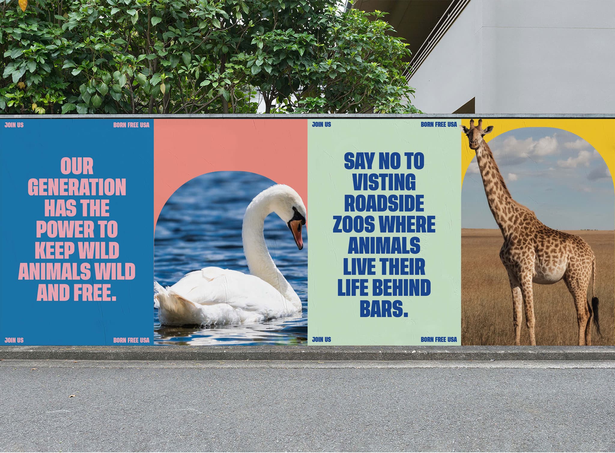 NPO Rebranding by Siyi Wu – SVA Design