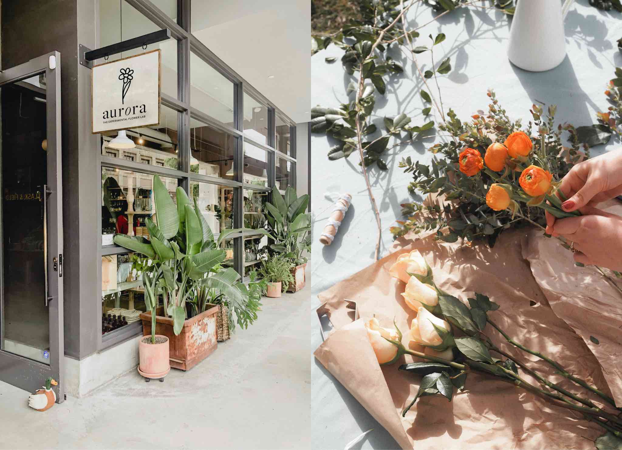 AURORA Flower Shop by Qi Gu – SVA Design