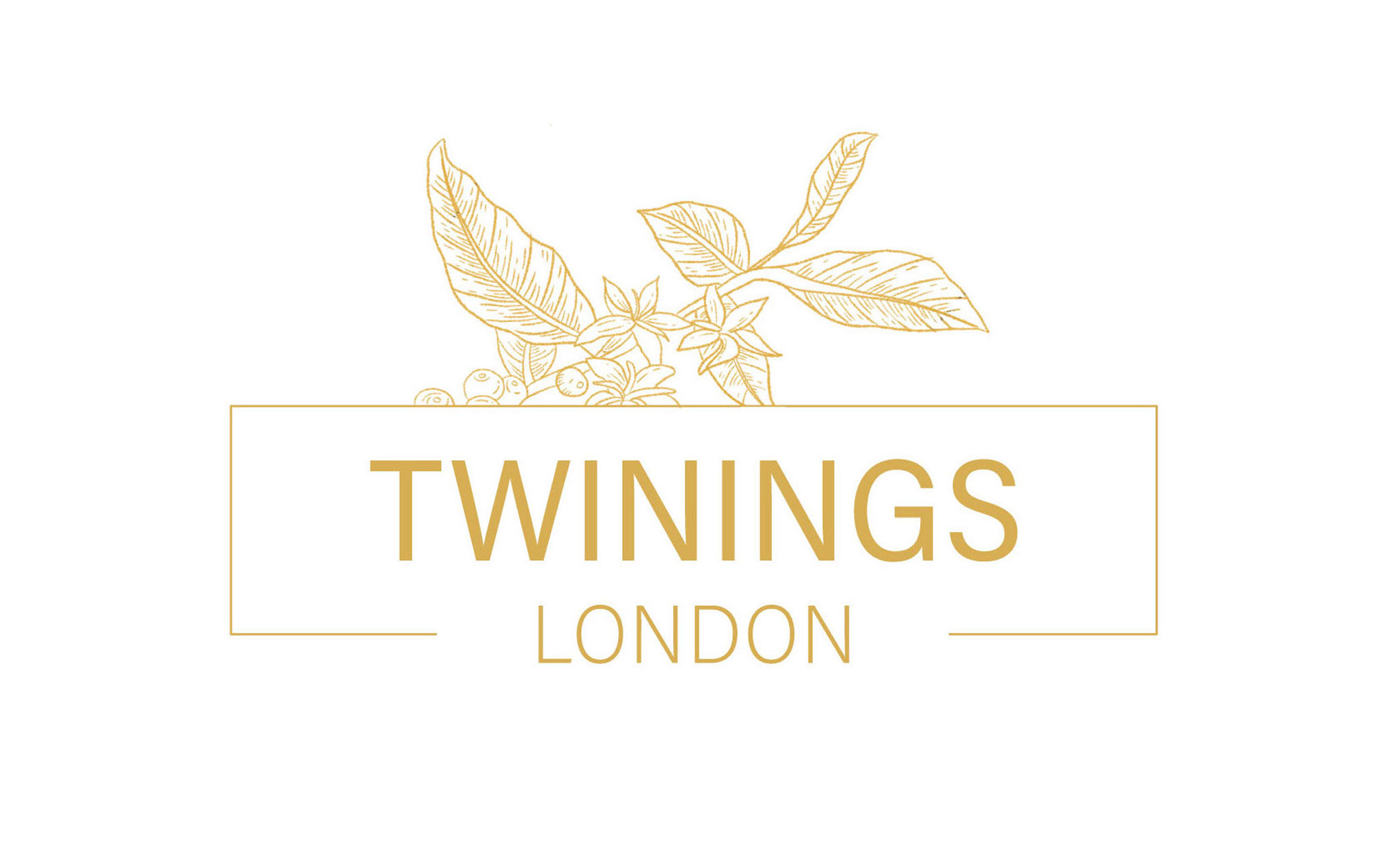 TWININGS LONDON by Ye Hou – SVA Design