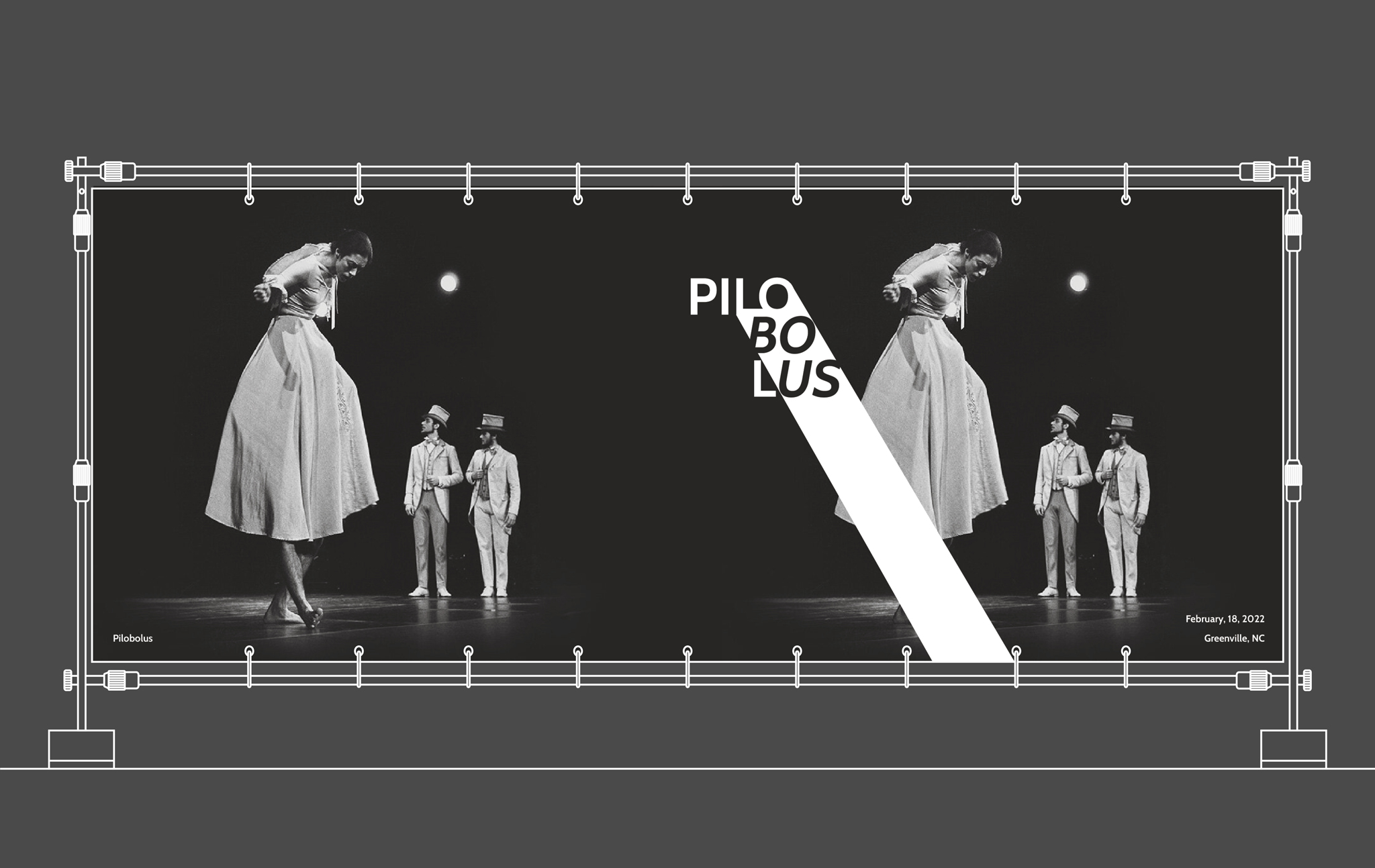 Pilobolus by Yiwei Cheng – SVA Design