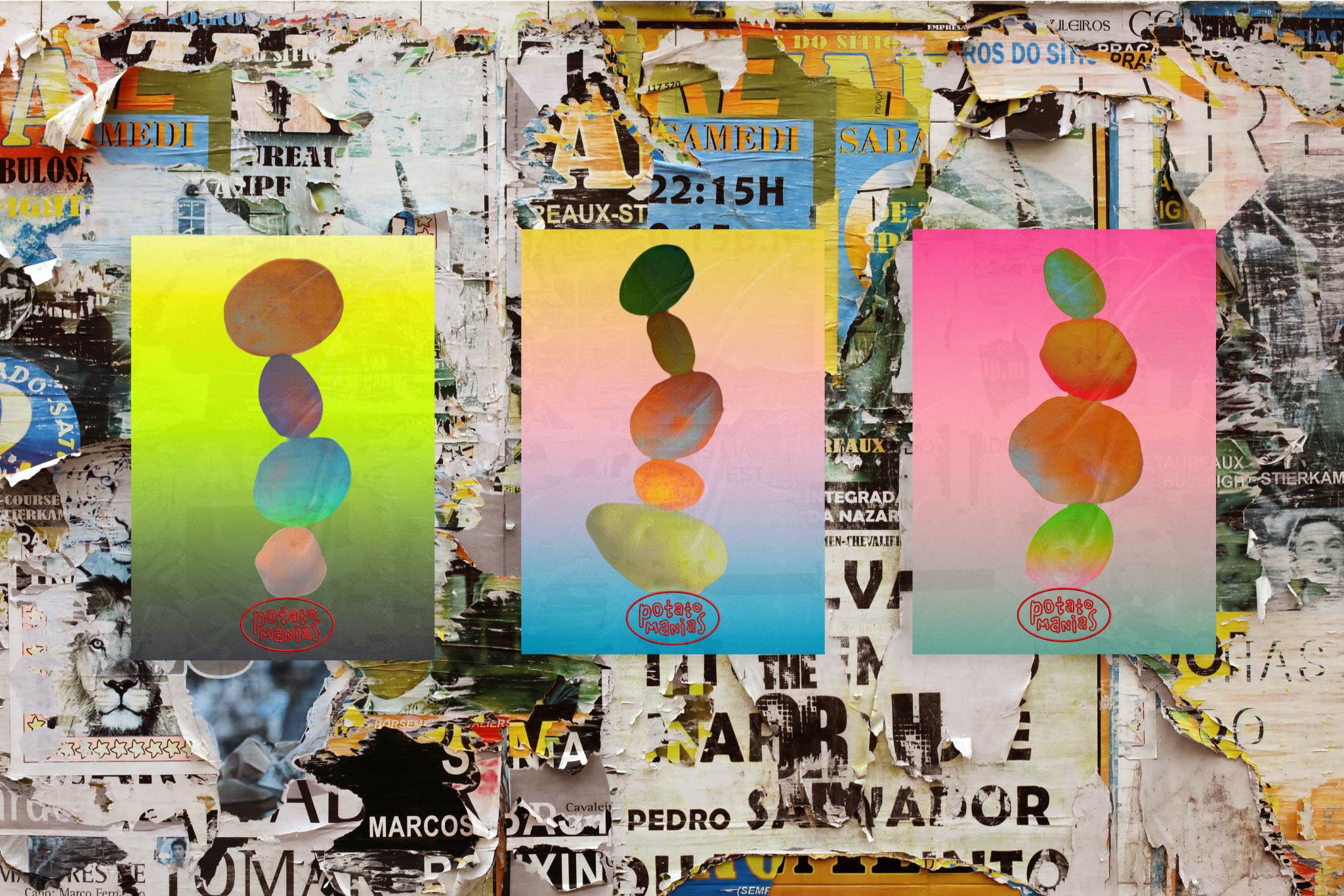 Potato Mania by Shenjie Chen – SVA Design