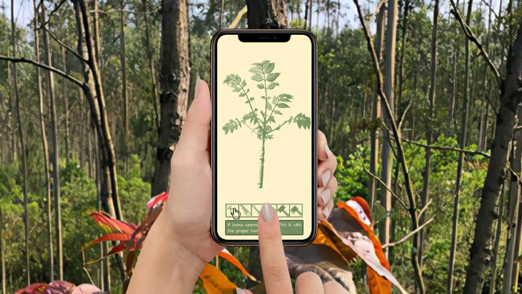 Forage app by Kexin Qin – SVA Design