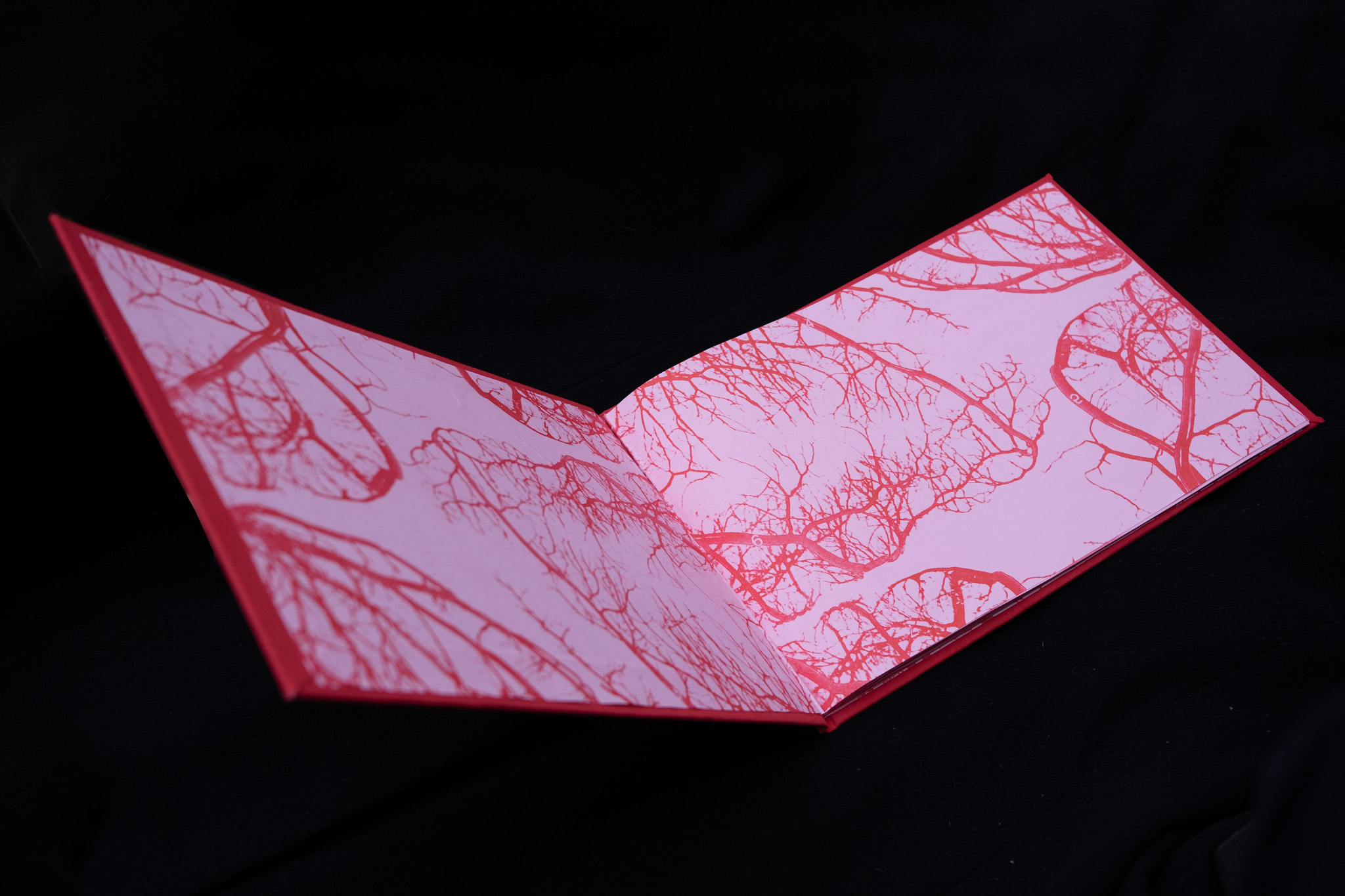 Body Without Organs by Isabelle Brawley – SVA Design