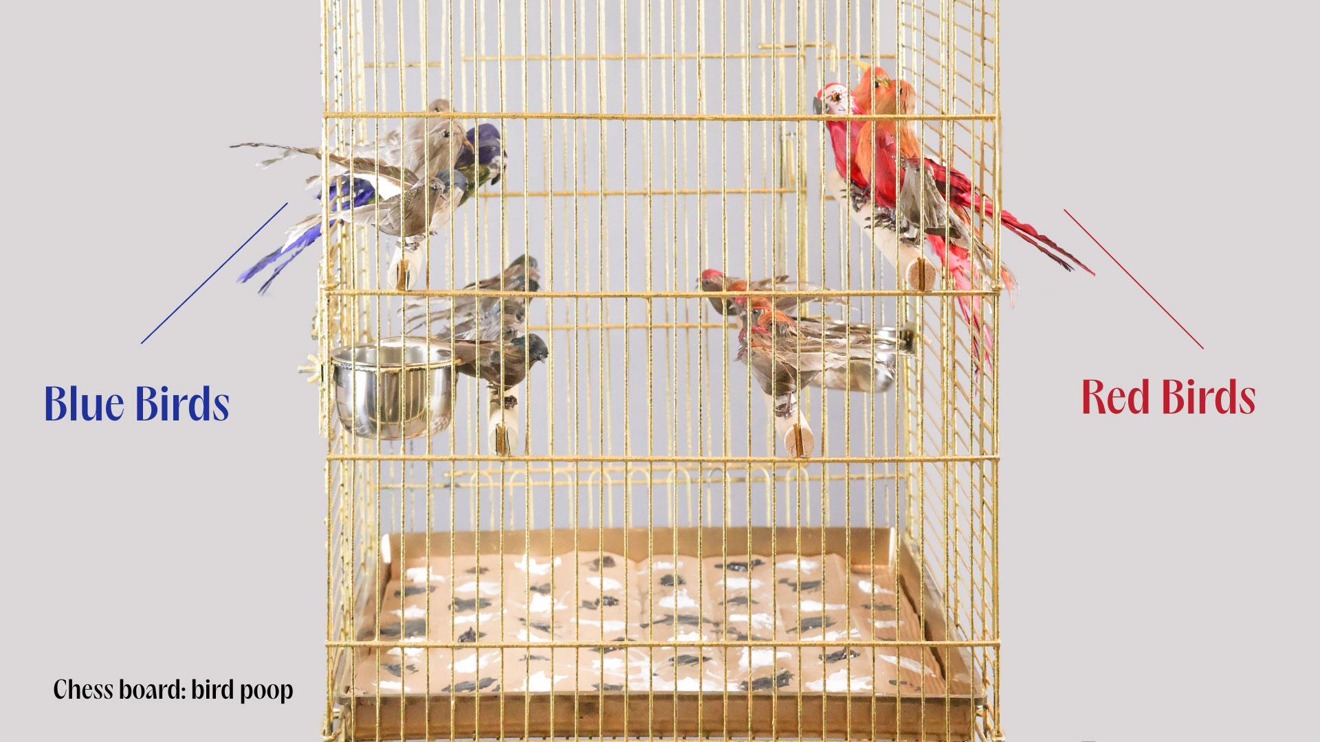 Bird Cage Chess Set by Zhaoyi Mou – SVA Design