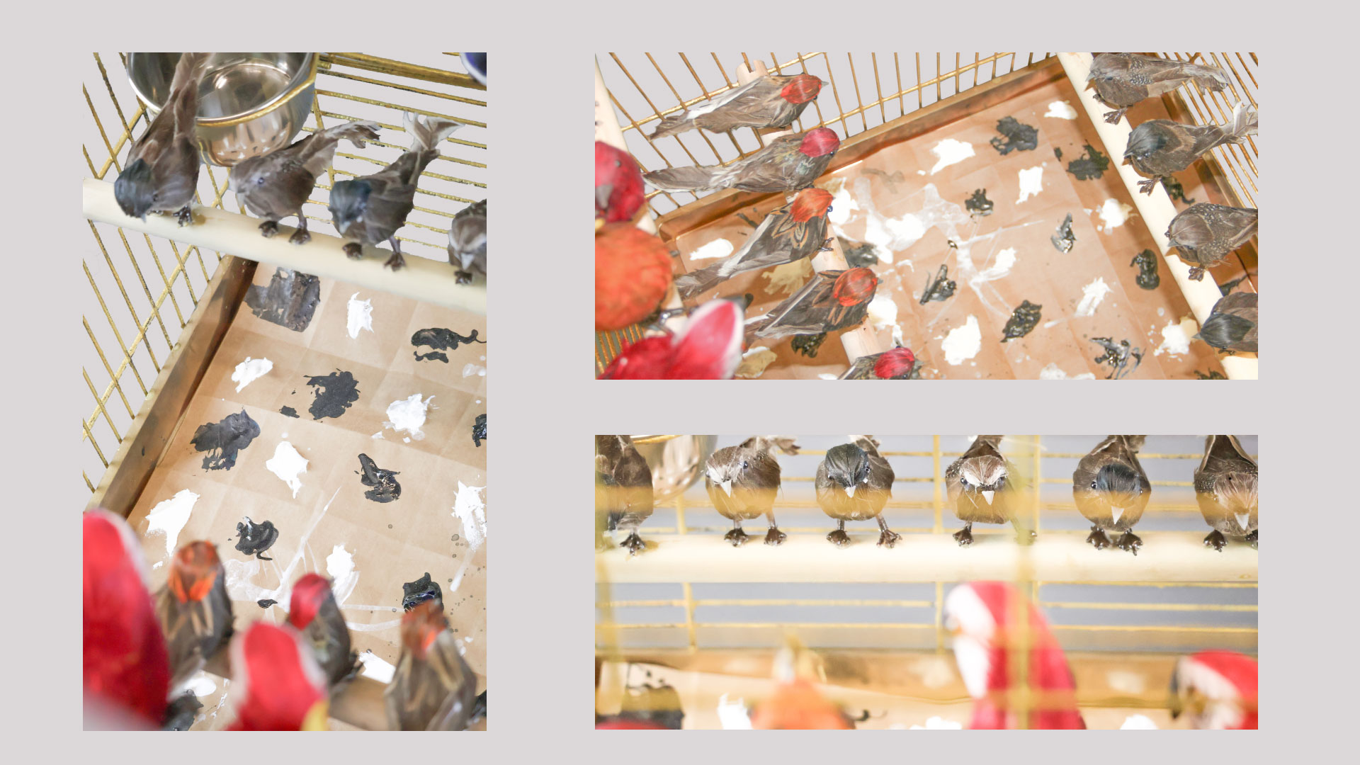 Bird Cage Chess Set by Zhaoyi Mou – SVA Design