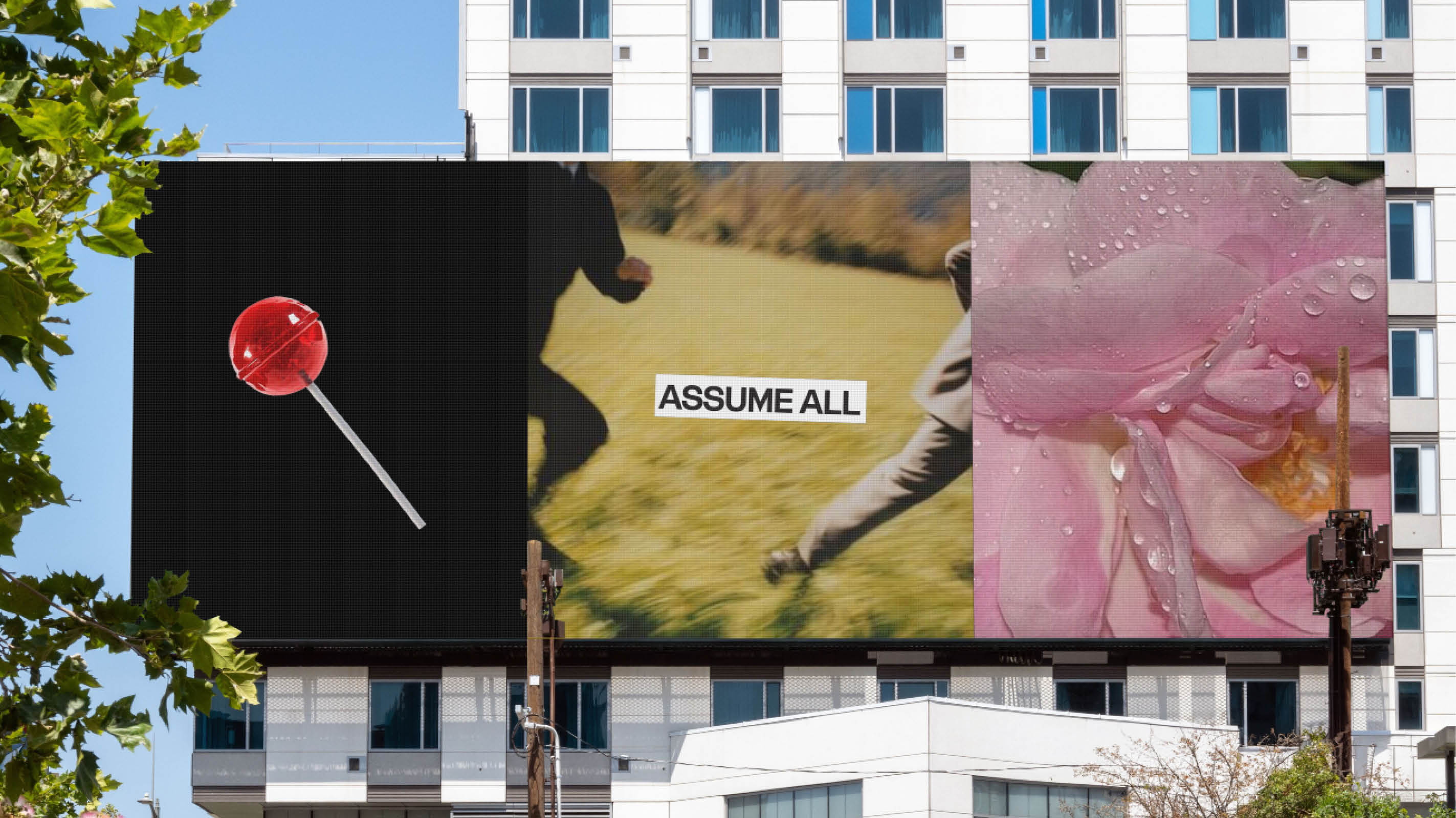 ASSUME ALL by Briana Rengifo – SVA Design