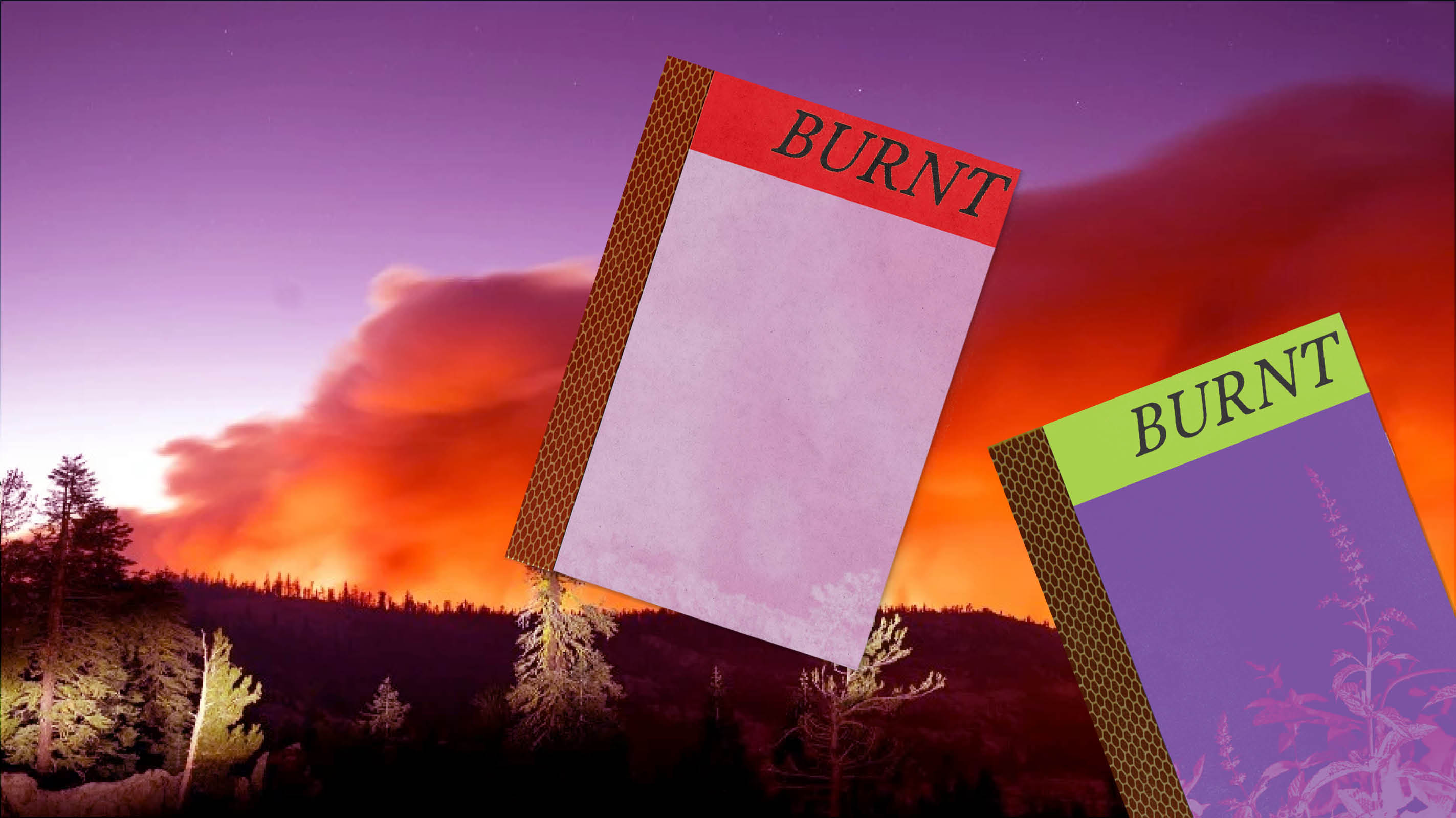 BURNT MAGAZINE by Briana Rengifo – SVA Design
