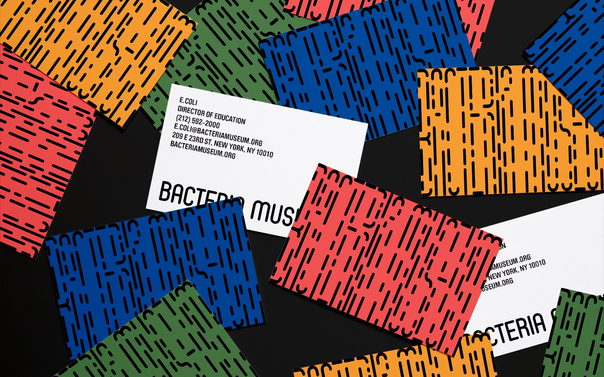 Bacteria Museum by Woojin Chung – SVA Design