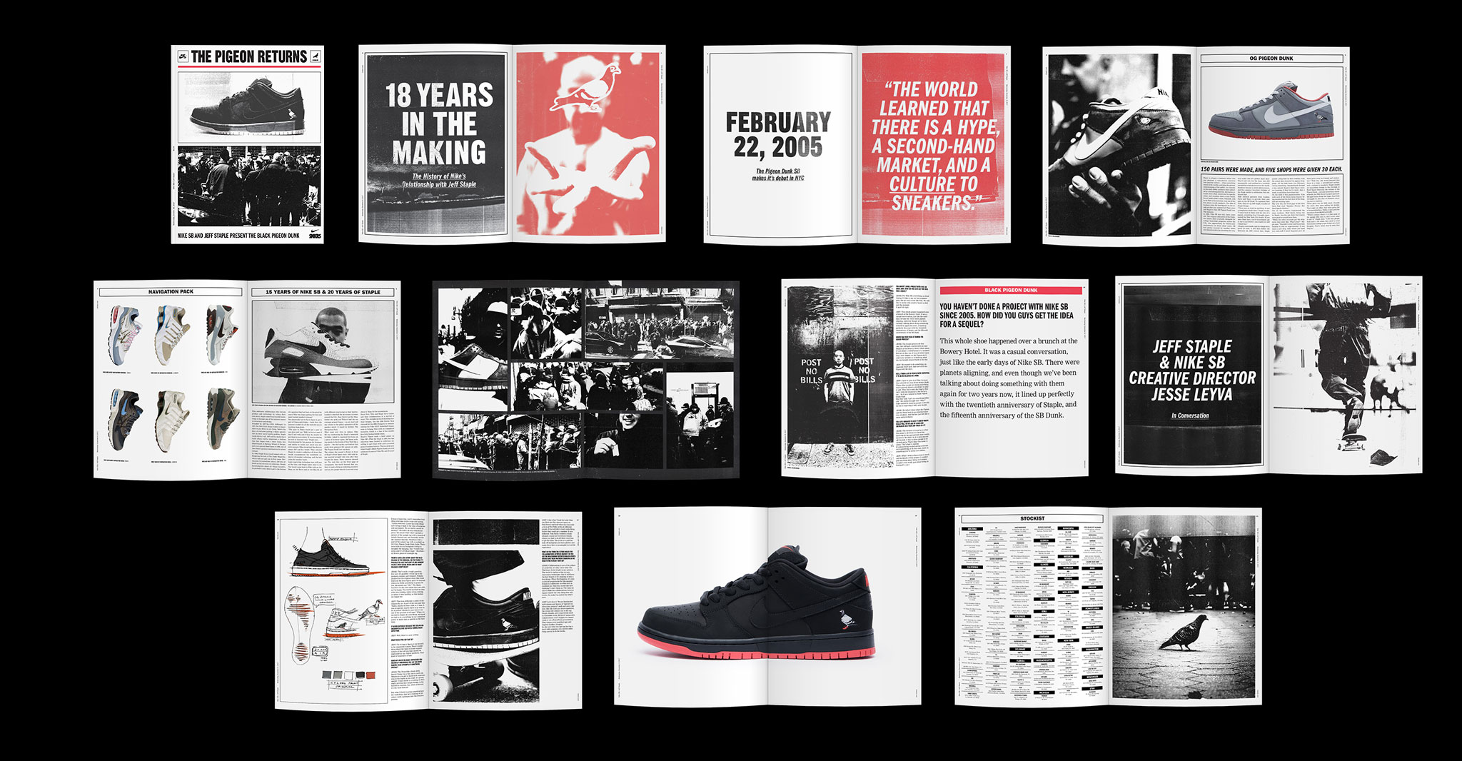 NIKE SB x PIGEON DUNK NEWSPAPER by Angela Asemota – SVA Design